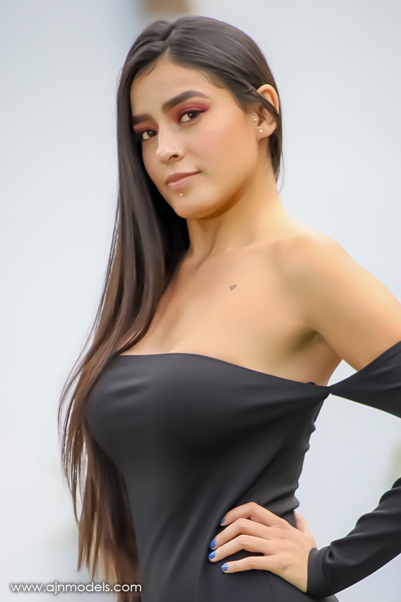 Guanajuato - AJ Modelos